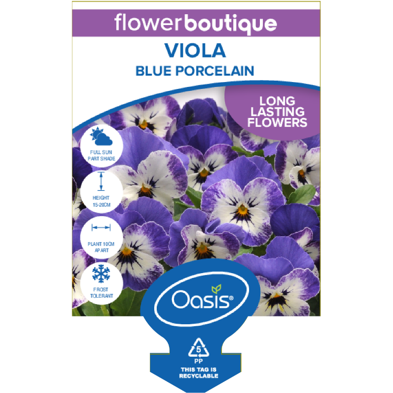 Oasis Horticulture Pty Ltd | VIOLA BLUE PORCELAIN FLOWER BOUTIQUE PUNNET