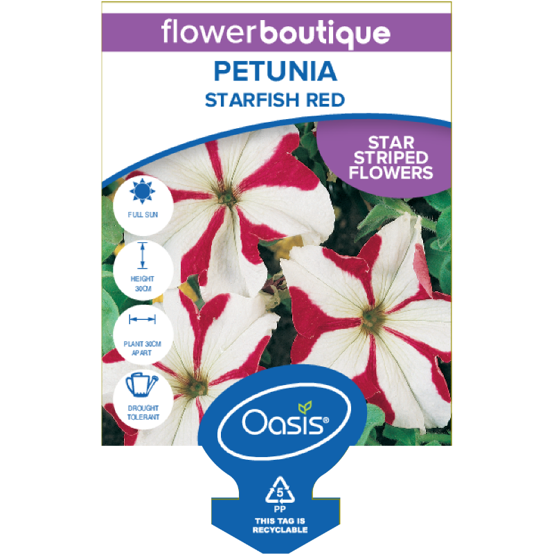 Oasis Horticulture | PETUNIA STARFISH RED FLOWER BOUTIQUE PUNNET
