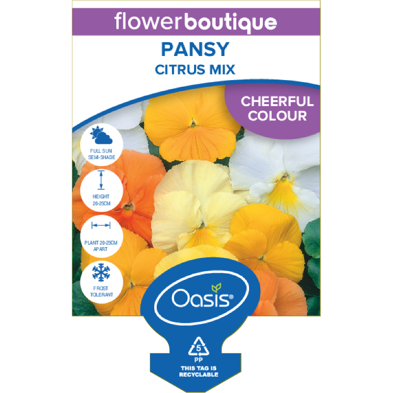 Oasis Horticulture | PANSY CITRUS MIX FLOWER BOUTIQUE PUNNET