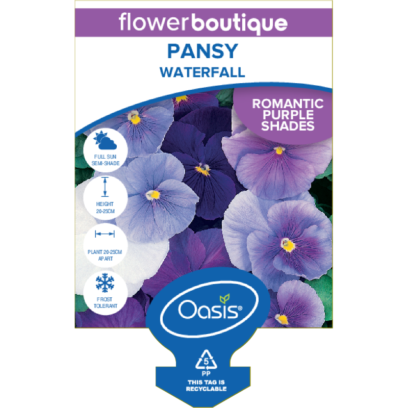 Oasis Horticulture | PANSY WATERFALL FLOWER BOUTIQUE PUNNET