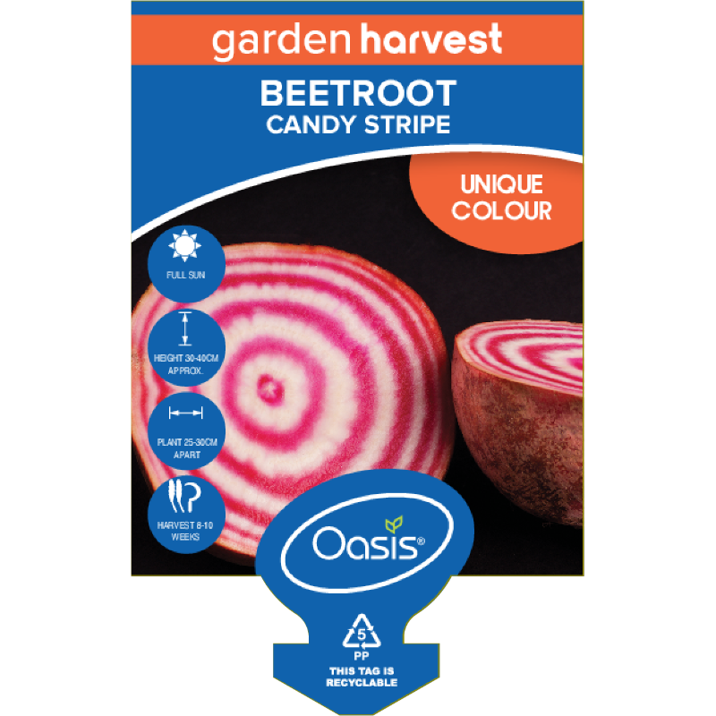Oasis Horticulture | BEETROOT CANDY STRIPE GARDEN HARVEST 100MM POT