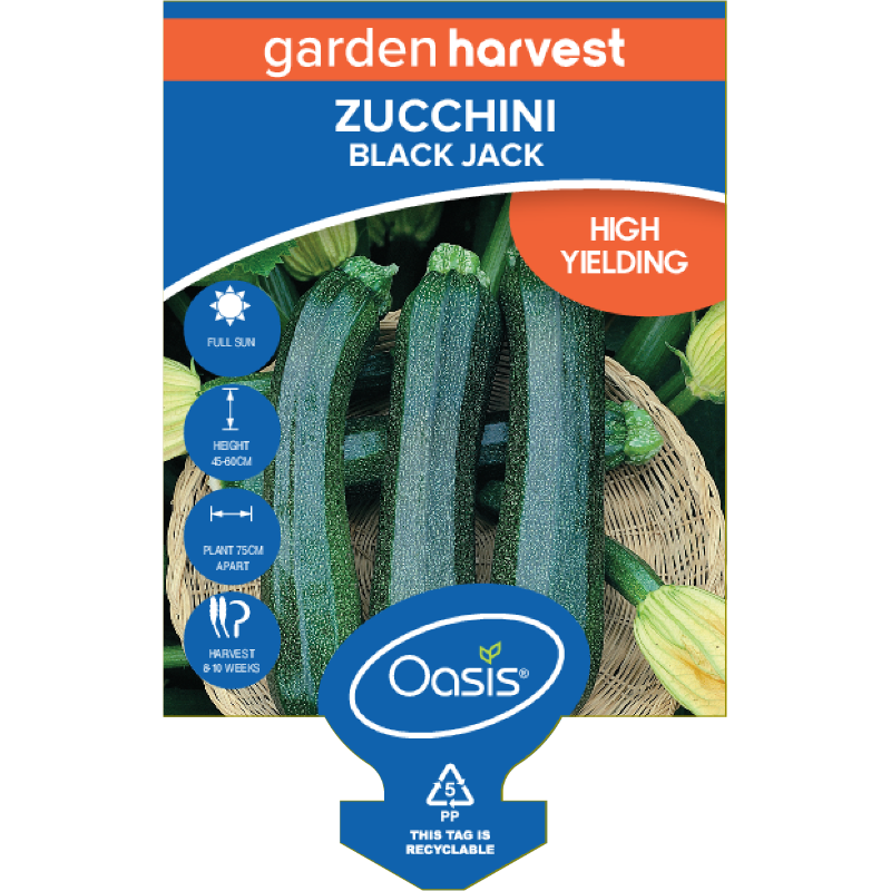 Oasis Horticulture | ZUCCHINI BLACK JACK GARDEN HARVEST 100MM POT
