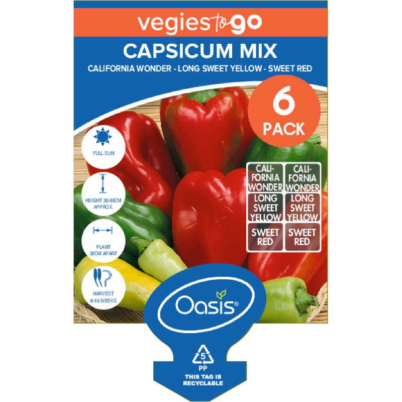 Oasis Horticulture | CAPSICUM MIX VEGIES TO GO 6 CELL PACK