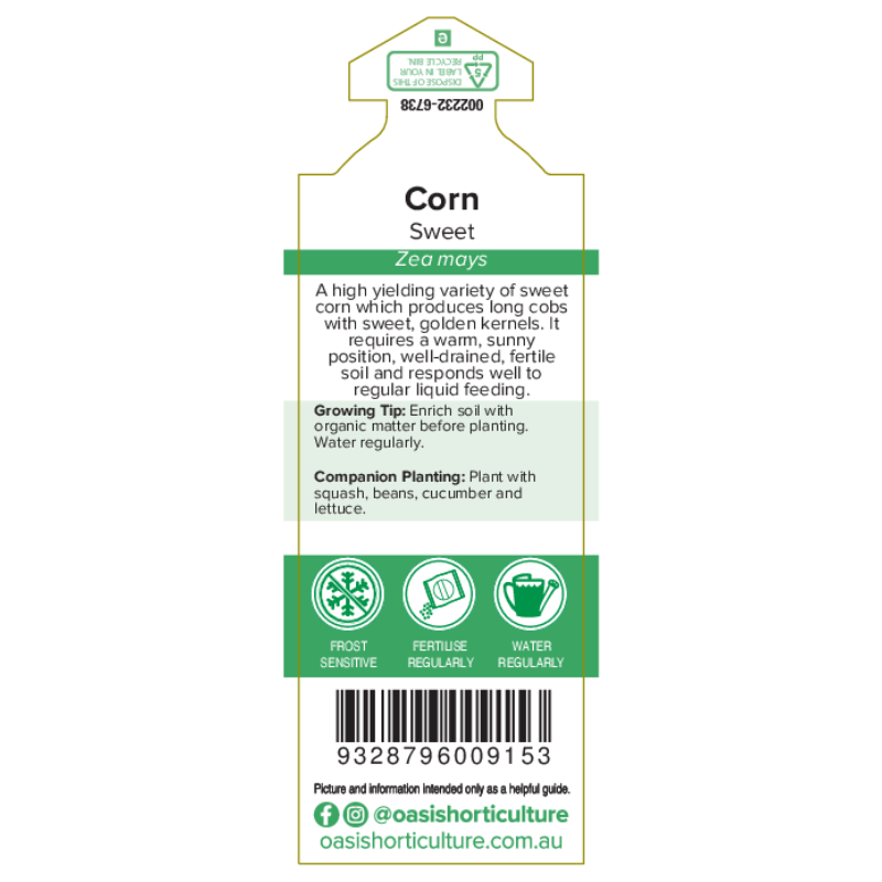 Oasis Horticulture | CORN SWEET VEGIE PATCH PUNNET