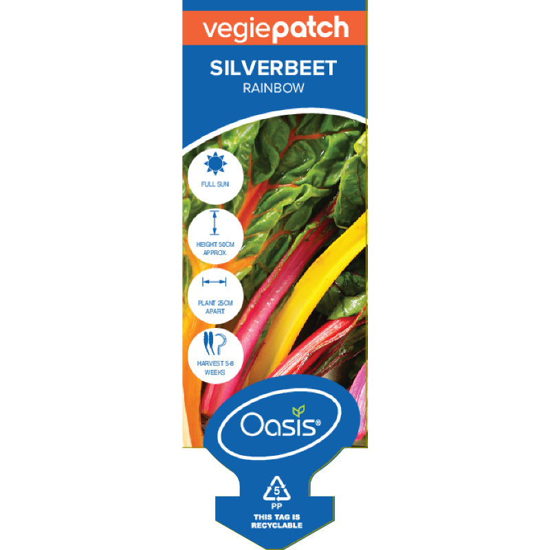 Oasis Horticulture | SILVERBEET RAINBOW VEGIE PATCH PUNNET