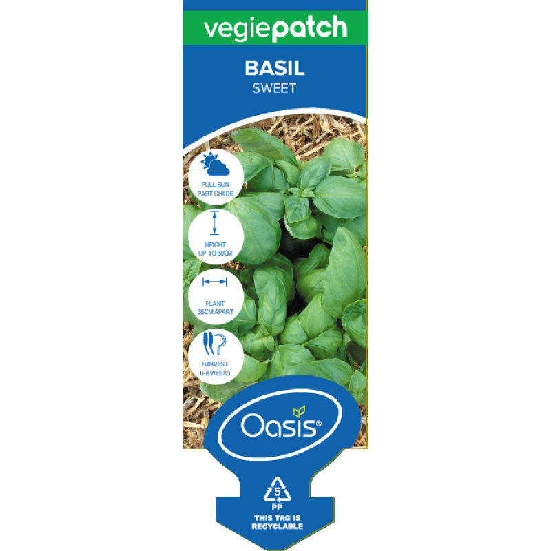 Oasis Horticulture | BASIL SWEET VEGIE PATCH PUNNET