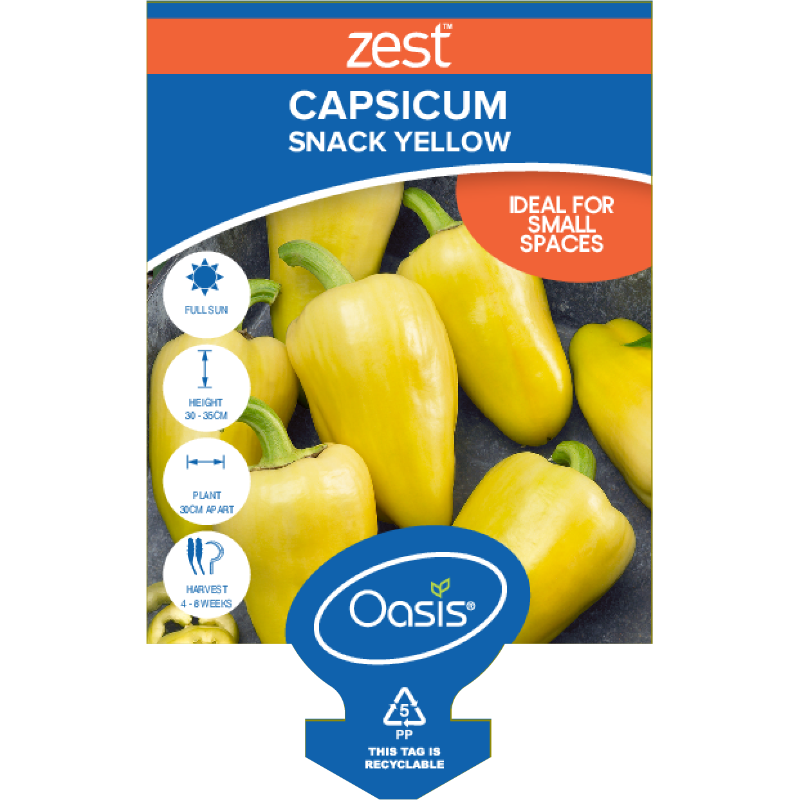 Oasis Horticulture | CAPSICUM SNACK YELLOW ZEST 180MM POT