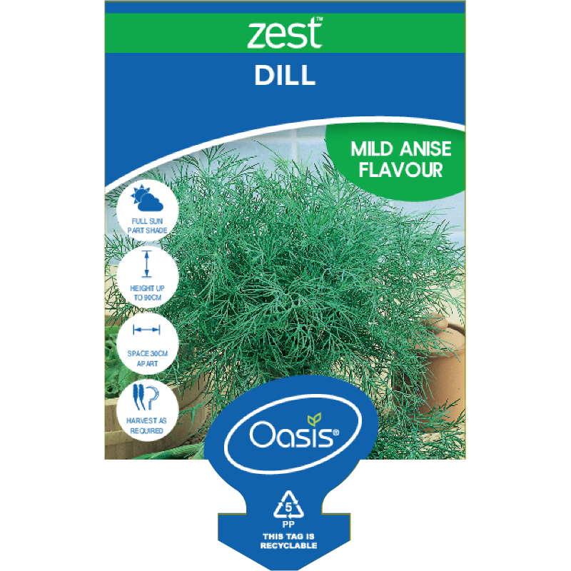 Oasis Horticulture | DILL ZEST 180MM POT