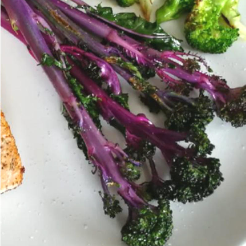 Oasis Horticulture | BROCCOLI PURPLELICIOUS ZEST 180MM POT