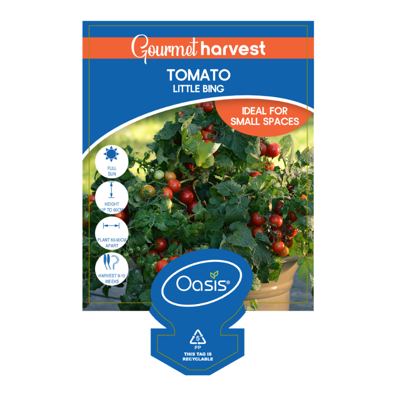 Oasis Horticulture | TOMATO LITTLE BING GOURMET HARVEST 125MM POT
