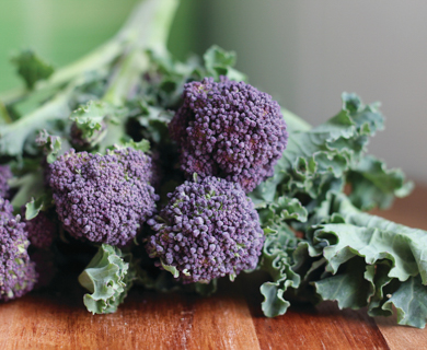 Oasis Horticulture | Vegetables & Fruit