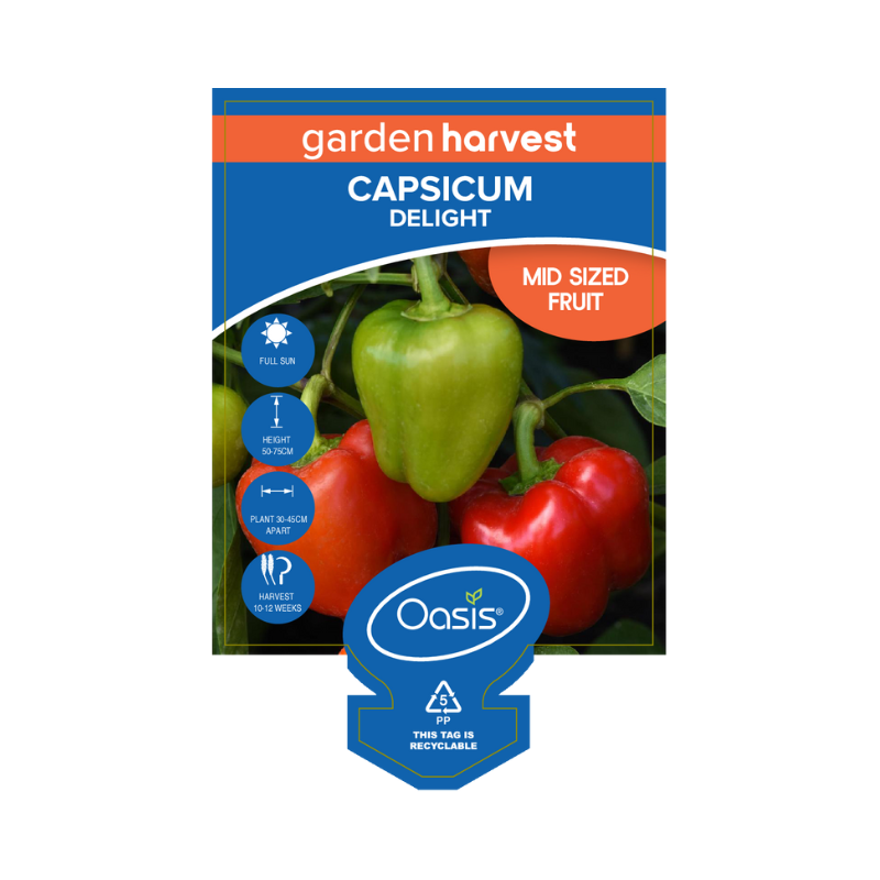 Oasis Horticulture | CAPSICUM DELIGHT GARDEN HARVEST 100MM POT